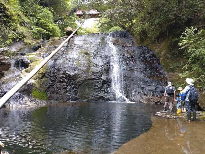 Chiba: Okuboso Nature Tour with Local Guide - Key Points