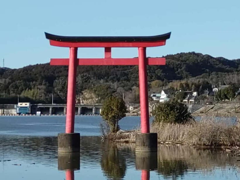 Chiba: Okuboso Nature Tour with Local Guide - Who Will Love This Tour?