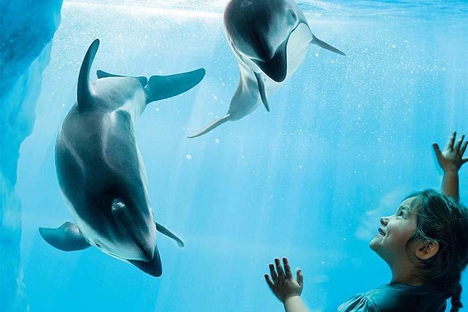 Chicago CityPASS® - Usage Tips