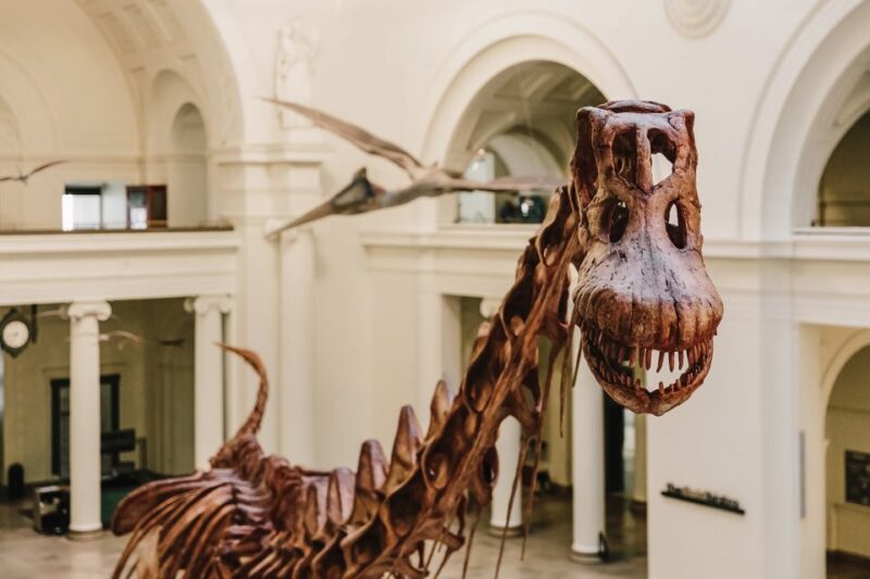 Chicago CityPASS®: Save up to 49% at 5 Top Attractions - Is the Chicago CityPASS® Right for You?