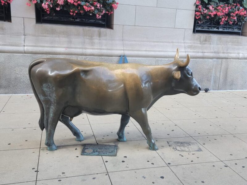 Chicago: Customizable Private Chicago Scenic Driving Tour - FAQs