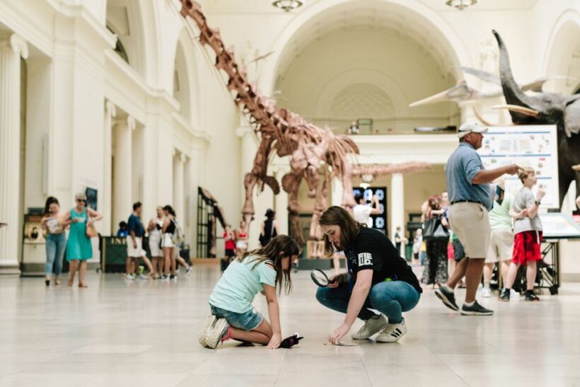 Chicago Explorer Pass: 2 to 7 Attractions including SkyDeck - The Experience: What to Expect?