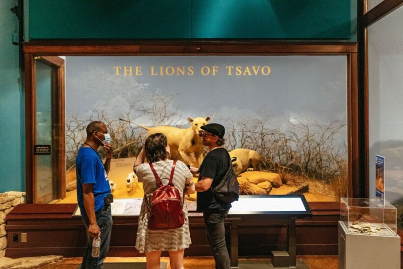 Chicago: Field Museum of Natural History Ticket or VIP Tour - The Sum Up