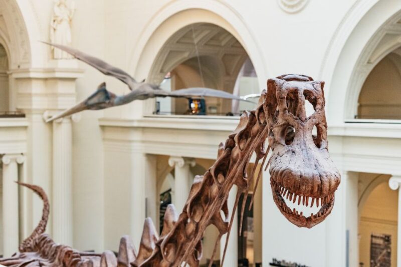 Chicago: Field Museum of Natural History Ticket or VIP Tour - Exploring the Field Museum of Natural History in Chicago: A Complete Guide