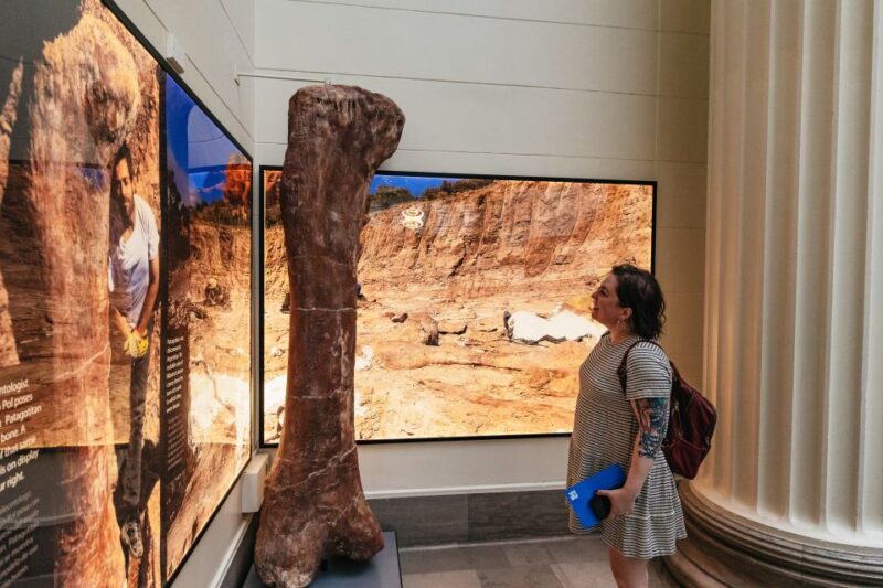 Chicago: Field Museum of Natural History Ticket or VIP Tour - Practical Details: What You Need to Know