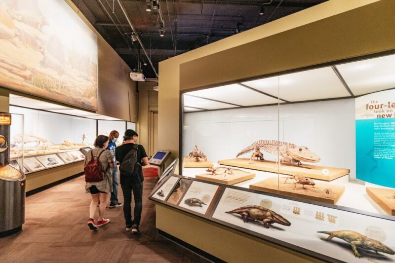 Chicago: Field Museum of Natural History Ticket or VIP Tour - The Experience from Others’ Perspectives