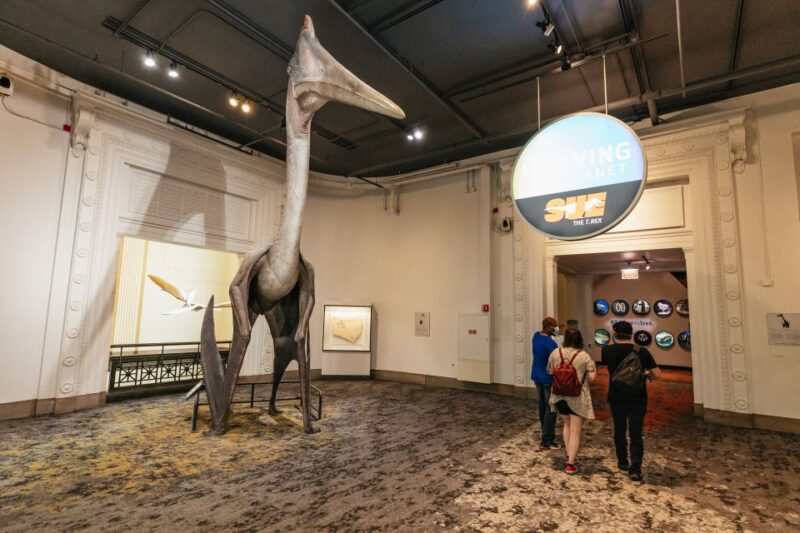Chicago: Field Museum of Natural History Ticket or VIP Tour - In The Sum Up
