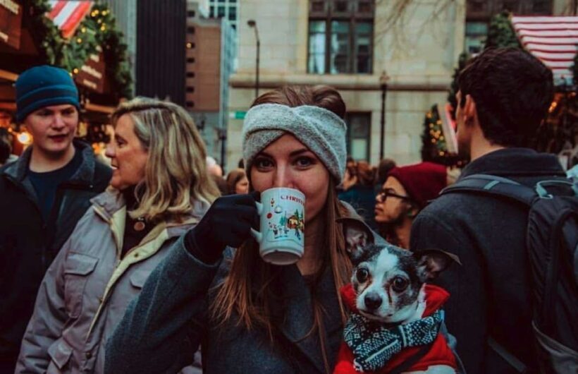 Chicago: Guided Holiday Walking Tour and Food Sampling - Practical Details and What to Expect