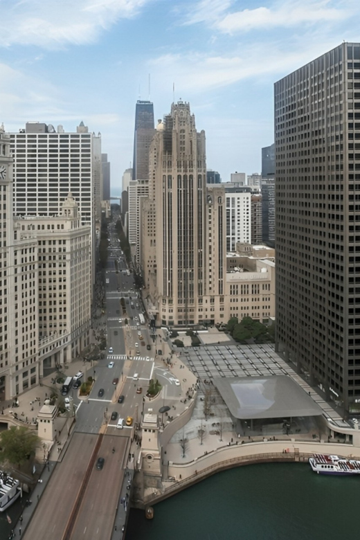 Chicago Highlights Private Walking Tour With A Guide - Why Choose This Tour?