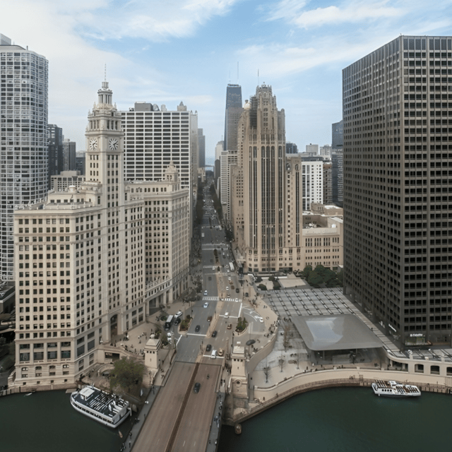 Chicago Highlights Private Walking Tour With A Guide - The Sum Up