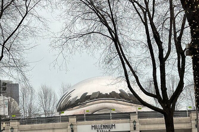 Chicago In A Day With A Local - Pricing and Value