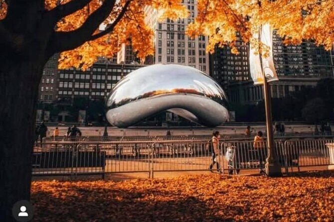 Chicago In A Day With A Local - Who Should Consider This Tour?