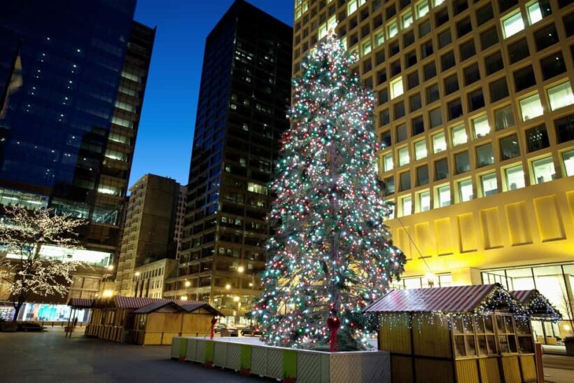 Chicagos Festive Lights: Private Magical Christmas Journey - An In-Depth Look at the Chicago Festive Lights Tour
