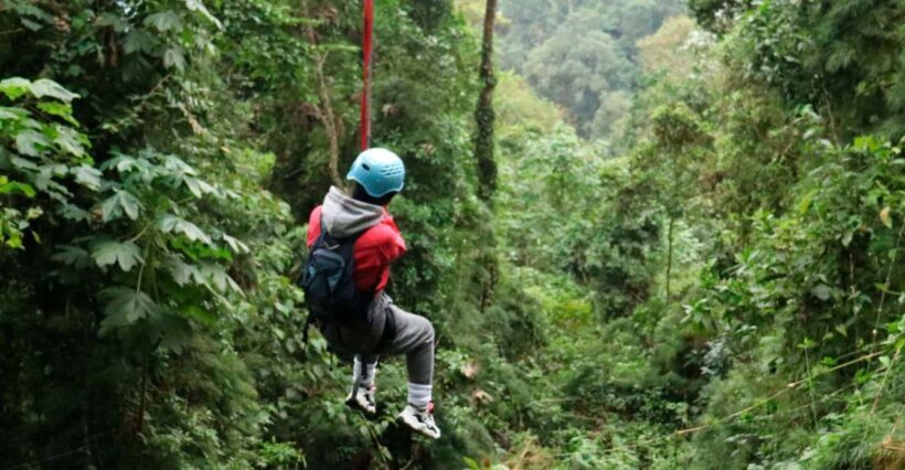 Chicaque Foggy Forest Hike - The Sum Up