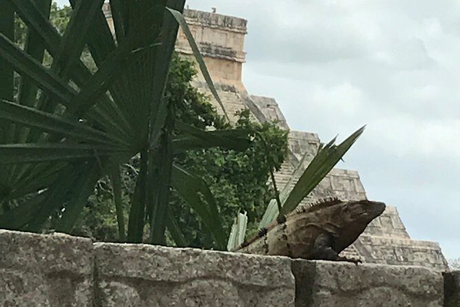 Chichen Itza Private experience - Practical Tips for Making the Most of the Tour