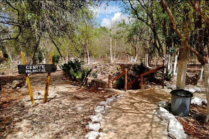 Chichen Itza Ruins and 3 Cenotes Private Transportation - The Sum Up