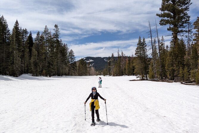 Chickadee Ridge Beginner Snowshoe Activity - An In-Depth Look at the Chickadee Ridge Snowshoe Tour