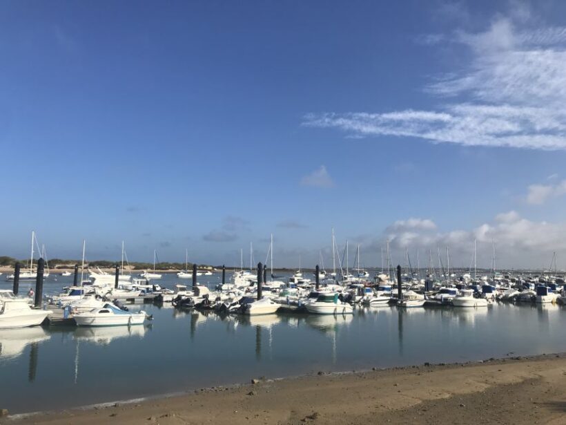 Chiclana de la Fra: Coast of Sancti Petri Catamaran Tour - Key Points