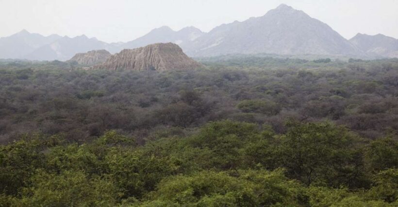 Chiclayo: Pomac Forest Historic Sanctuary & Sican Museum - FAQs