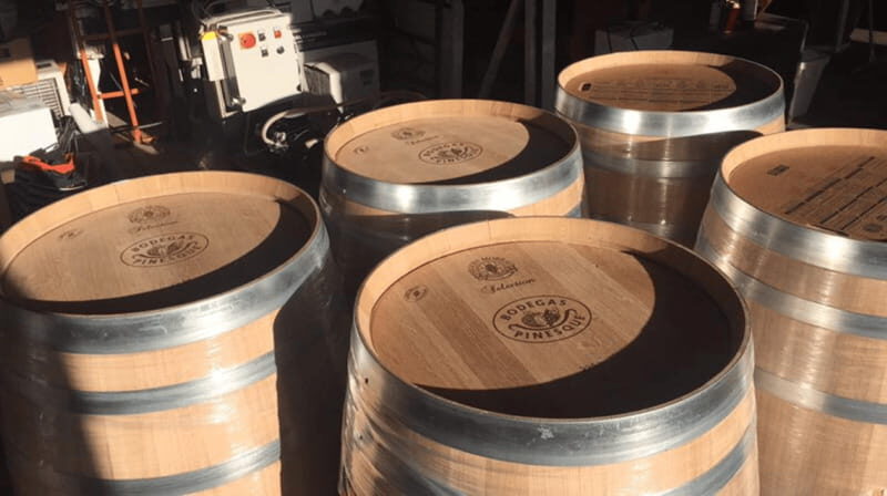 Chihuahua: Insignia Winery Wine Tasting Experience - Key Points