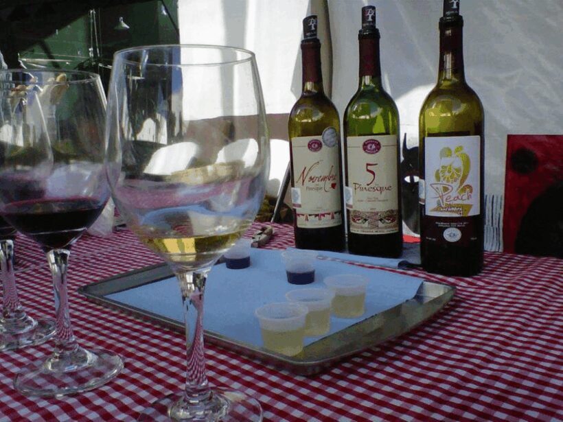 Chihuahua: Wine Tasting Tour - Cheese and Wine Pairings: A Highlight