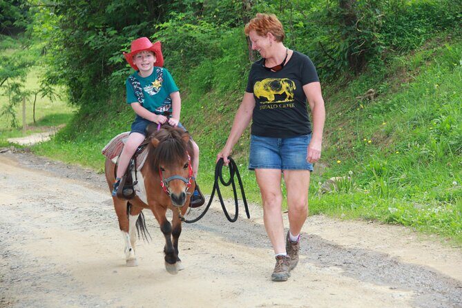 Children Mini Horse Rides - An In-Depth Look at the Mini Horse Riding Experience