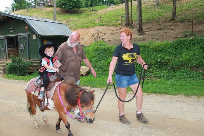 Children Mini Horse Rides - FAQ: Children Mini Horse Rides