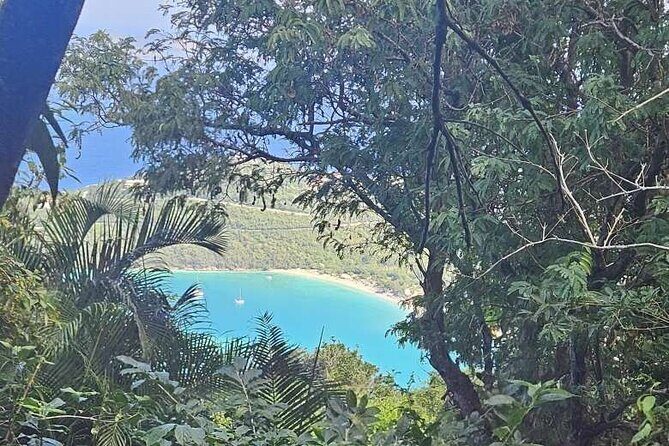 Children's Botanical Garden in St. Thomas USVI - Exploring the Childrens Botanical Garden Experience