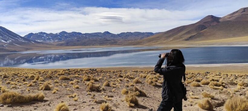 Chile: Unforgettable Altiplano Adventure - Key Points