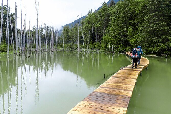 Chilkoot Trail Hike, Float, and Summit Drive - An In-Depth Look at the Tour Experience