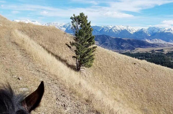 Chimney Rock Trail Ride - FAQ