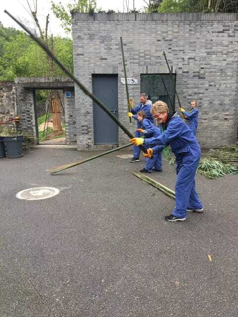 China: 13-Day Tour with Terracotta Army and Giant Pandas - Who Is This Tour Best For?