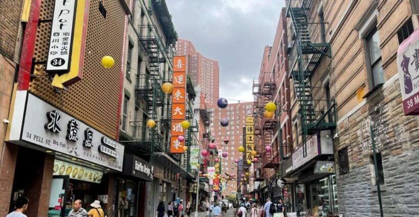 Chinatown Walking Food Tour of New York - Exploring New York’s Chinatown: A Walking Food Tour Review