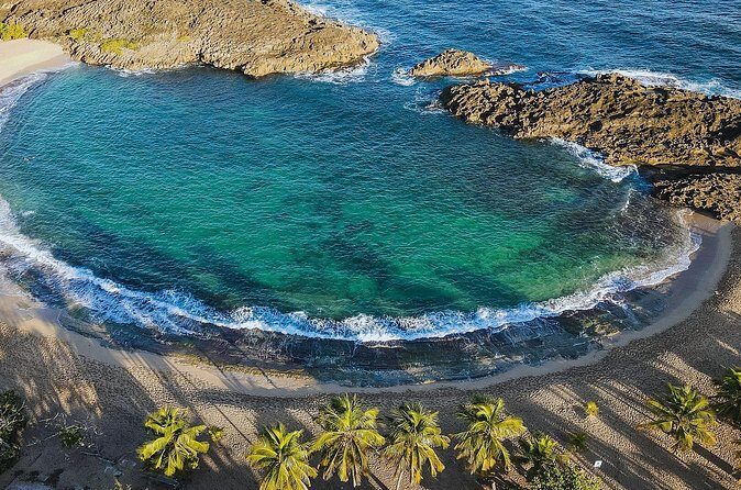 Chinchorreo Bar Hopping Tour from San Juan by DUHO - Who Will Love This Tour?