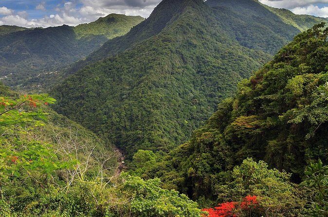 Chinchorreo Bar Hopping Tour from San Juan by DUHO - FAQ