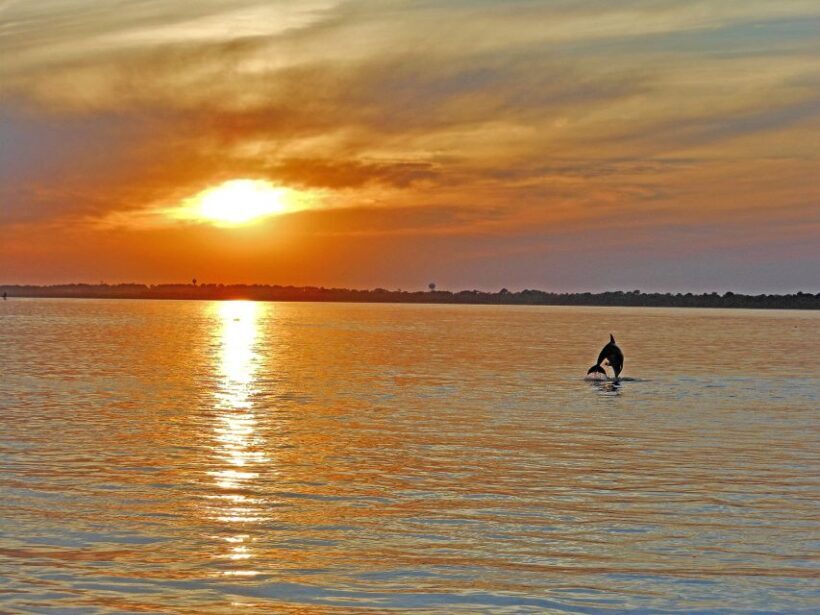 Chincoteague: Assateague Island Sunset Boat Cruise - Introduction: Why the Sunset Cruise from Chincoteague?