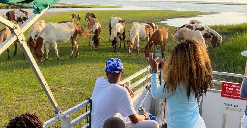 Chincoteague: Assateague Island Sunset Boat Cruise - Pricing and Value: Is It Worth It?