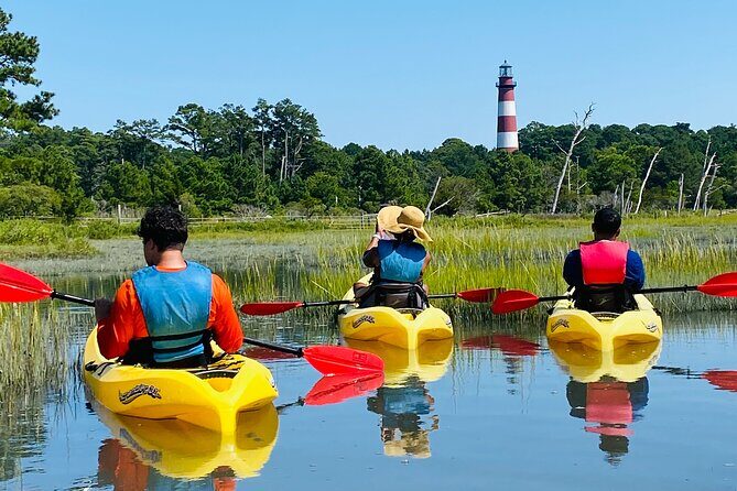 Chincoteague Kayak Rentals around Assateague Island - The Sum Up