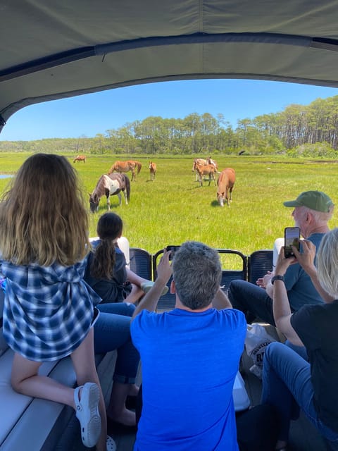 Chincoteague: Premier Pony & Wildlife Small Group Boat Tour - The Wildlife Encounters