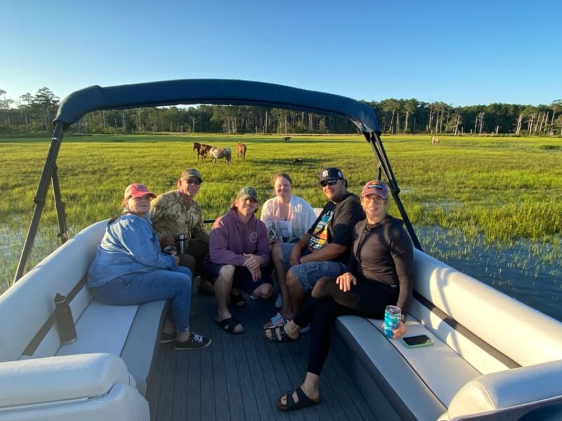 Chincoteague: Premier Pony & Wildlife Small Group Boat Tour - Practical Tips for Travelers