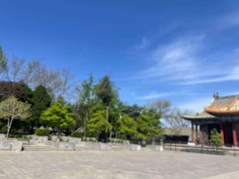 Chinese Kungfu class in old temple beside Forbidden Ci - Who Will Enjoy This Experience Most?