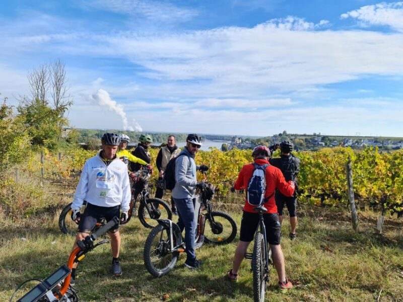 Chinon: Bicycle Tour of Saumur Wineries with Picnic Lunch - Final Thoughts: Is It Worth It?