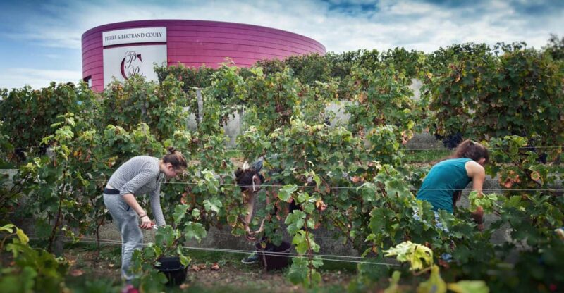 Chinon : Discovery Tours and Wine Tasting - Guided Tour Details