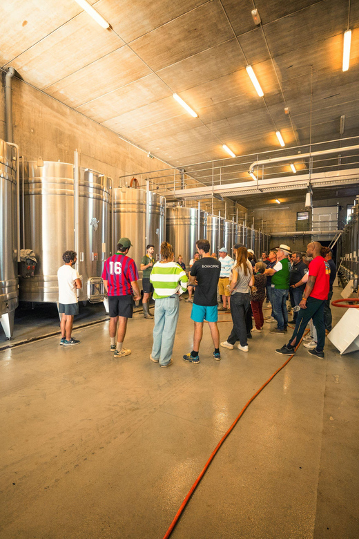 Chinon : Discovery Tours and Wine Tasting - Participant Information