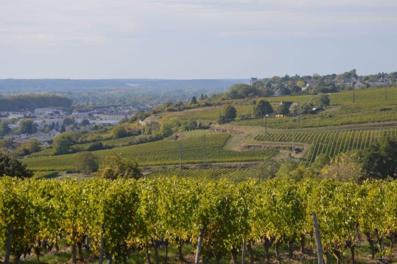 Chinon : Discovery Tours and Wine Tasting - Since You Asked