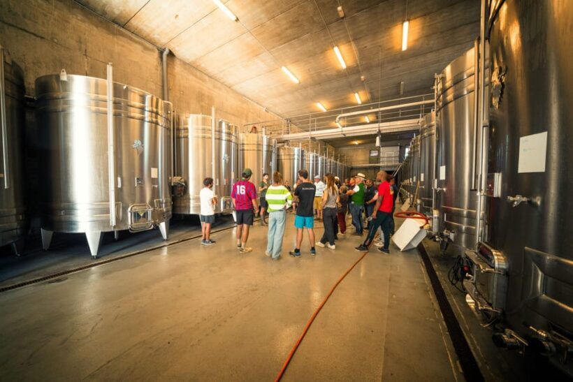 Chinon : Prestige Tours and Wine Tasting - An In-Depth Look at the Chinon Prestige Tour