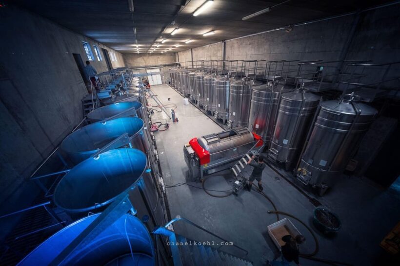 Chinon : Prestige Tours and Wine Tasting - FAQ