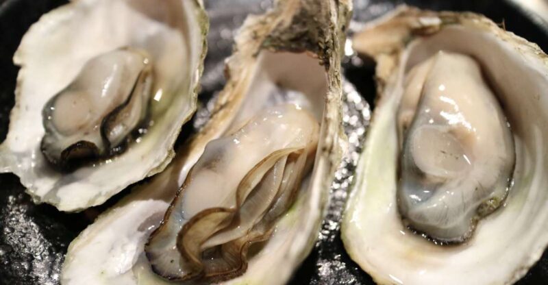 Chioggia: discover aquaculture techniques in a typical boat - Analyzing the Value