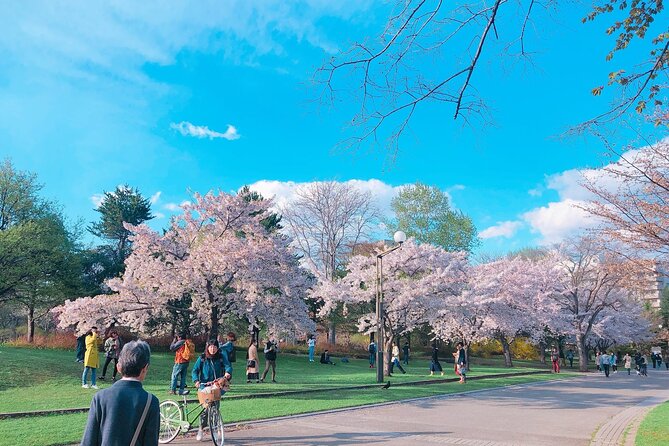 Chitose Airport to Sapporo Niseko Tomamu Private Transfer - Common Questions