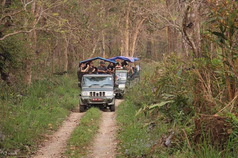 Chitwan: 1-Night Jungle Safari with Transfers from Kathmandu - Arrival and Accommodation: Comfort in the Jungle